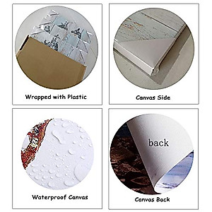 Derkymo 3 Panels Elegant Poppy Wall Painting Orange Flower Canvas Wall Art Pictures of Poppy Flowers for Home Decoration Stretched and Framed Easy to Hang 12"x16"x3pcs