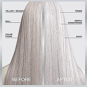 L’Oréal Paris Le Color Gloss One Step Toning Gloss, In-Shower Hair Toner with Deep Conditioning Treatment Formula for Gray Hair, Silver White, 1 Kit, 32.626 cubic_inches