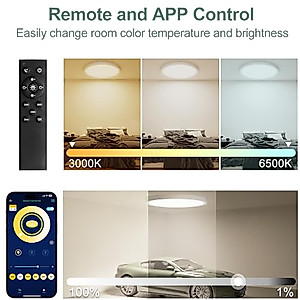 luckystyle 12inch/20W Remote Dimmable LED Flush Mount Ceiling Lights with Smart APP Custom Color Temperatures, Daylight White Ceiling Light Fixture Round Ceiling Lamp for Kitchen Bedroom Child's Room