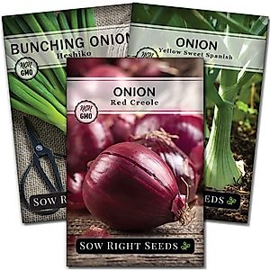 Sow Right Seeds - Onion Seed Collection for Planting - Yellow Sweet Spanish, Red Creolo, and Japanese Bunching Onion - Non-GMO Heirloom Packets with Instructions to Plant a Home Vegetable Garden
