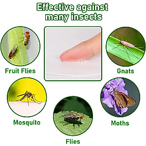 DUNAGA Glue Board Refills (10 Packs),4.3-inch Indoor Insect Trap Glue Board for Buzz-Free Home