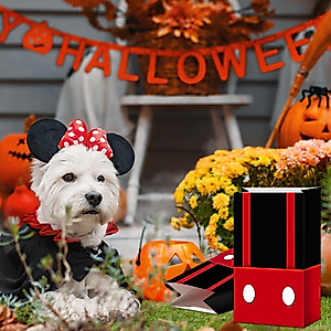 Tenare 28 Pieces Mouse Party Paper Bags, Birthday Treat Candy Goody Favor Bags Present Paper Bags for Mouse Theme Birthday Party Supplies