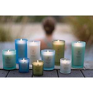 Yankee Candle Chesapeake Bay Candle, Medium Jar Candles | Confidence + Freedom (Oak Moss Amber), 2 Count, White