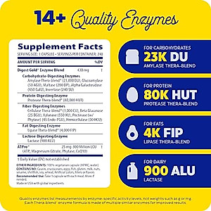Enzymedica Digest Gold + ATPro, Maximum Strength Digestive Enzymes, Helps Digest Large Meals for Instant Bloating Relief, 240 Count