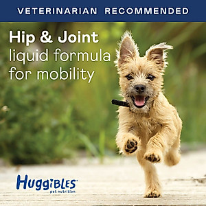 HUGGIBLES Hip & Joint Support Liquid Supplement for Dogs & Cats – Daily Supplement for Mobility Support with Glucosamine, MSM, Chondroitin – Reduce Pain & Inflammation – Antioxidants for Longevity