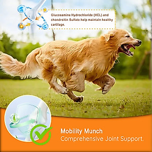 Munchy Chomps Joint Mobility for Dogs - Comprehensive Joint Support with Curcumin, MSM & Glucosamine - Aids Flexibility & Muscle Support for All Breeds (Bacon)