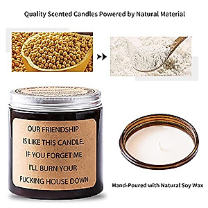 PMCDS2G Scented Candles Best Gift for Men & Women Birthday 14oz 100hour Long Burn Time Lavender Fragrance (Our Friendship is Like This Candle. IF You Forget ME I'll Burn Your FXXKING House Down.)