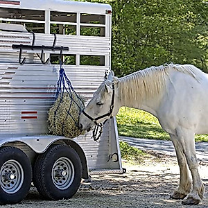 Dunzy 2 Pcs Black Tack Rack with Swivel Hooks, Hanging Bridle Hooks Portable Tack Hangers for Horses, Horse Tack Room Organizer Horse Tack Holder for Stall Room Trailer Accessories (5 Hooks Style)
