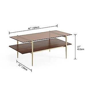 AGV LIGHTING 202206 Tadio Glass Coffee Table, Double Layer Coffee Table for Living Space, Gold Finish Frmae, Coffee Brown Glass Top & Walnut Brown Wood Top