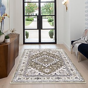 XSIVOD Area Rug Small 2x3 Rugs for Entryway, Washable Indoor Door Mat Vintage Rugs for Hallway Bedroom Rug, Non-Slip Welcome Mat for Front Door Bathroom Floor Carpet for Boho Decor, Brown Ivory