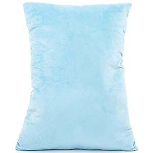 Bluey Snuggle Pillow - Super Soft Plush Decorative Throw Pillow - Measures 15 Inches (Official Bluey Product)