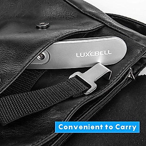 Digital Luggage Scale Gift for Traveler Suitcase Handheld Weight Scale 110lbs Silver