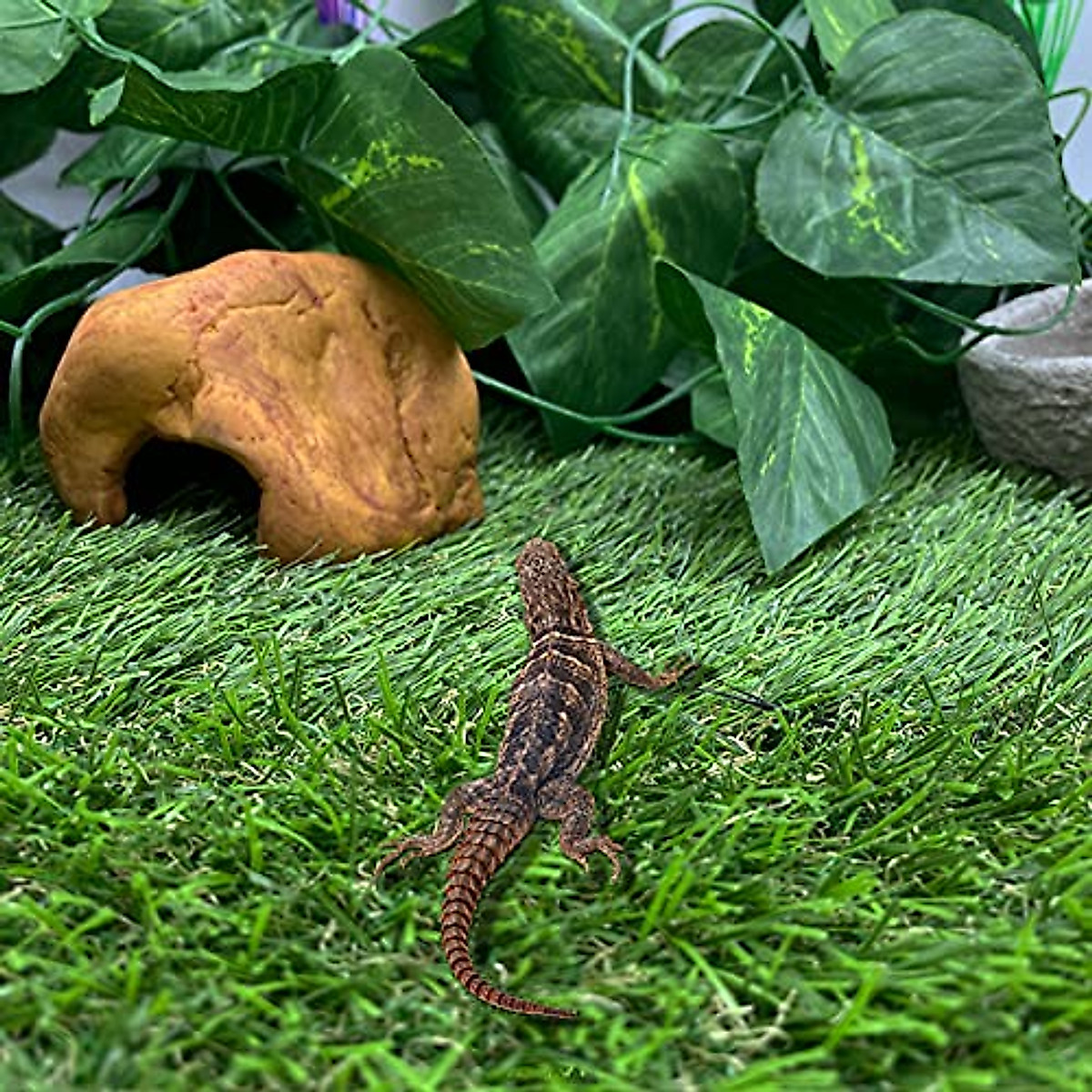 Reptile Rock Hide Cave Resin Rock Hideout Reptile Shelter Habitat Accessories Terrarium Decoration for Gecko Spider Snake Frog Tortoise and Other Small Animals