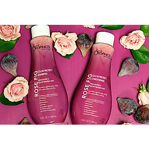 Juice Beauty Rose Fig Color Protect Shampoo - 300 mL - Deeply Cleanses, Boosts Shine + Enhances Volume - For Highlighted + Color-Treated Hair - Vegan, Cruelty Free