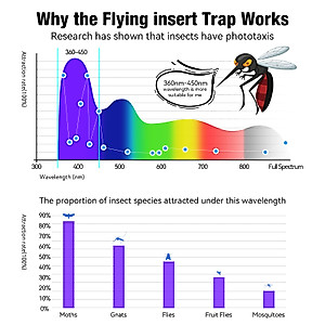 Fruit Fly Traps for Indoors, Plug in Fly Trap Indoor Bug Catcher with Double Sided Glue Card, Flying Insect Trap Gnat Traps for Mosquito, Flies, Fruit Flies, Moths, Gnats (1 Device + 5 Refills)