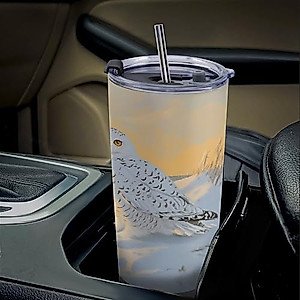 zxxpensy 20 Oz Tumbler Travel Cup Colorful Flowers Water Bottle, Stainless Steel Vacuum Insulated Coffee Mug with Straw Lid And Cleaning Brush