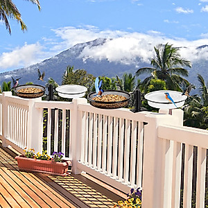 HRAYLTOP Deck Bird Feeders with Metal Mesh Tray and 2 Water Bowls - Detachable Adjustable Heavy Duty Clamp Bracket, Rail Bird Bath Balcony Porch Railing Feeder Perfect for Attracting Birds.