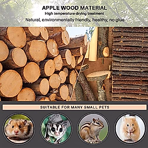 HOSUKKO Hamster Climbing Toys 3-Tier Extra Large Hamster Playground Natural Wooden Small Animal Platform Toys Hamster Exercise Activity Climbing Platform with Bridge for Gift