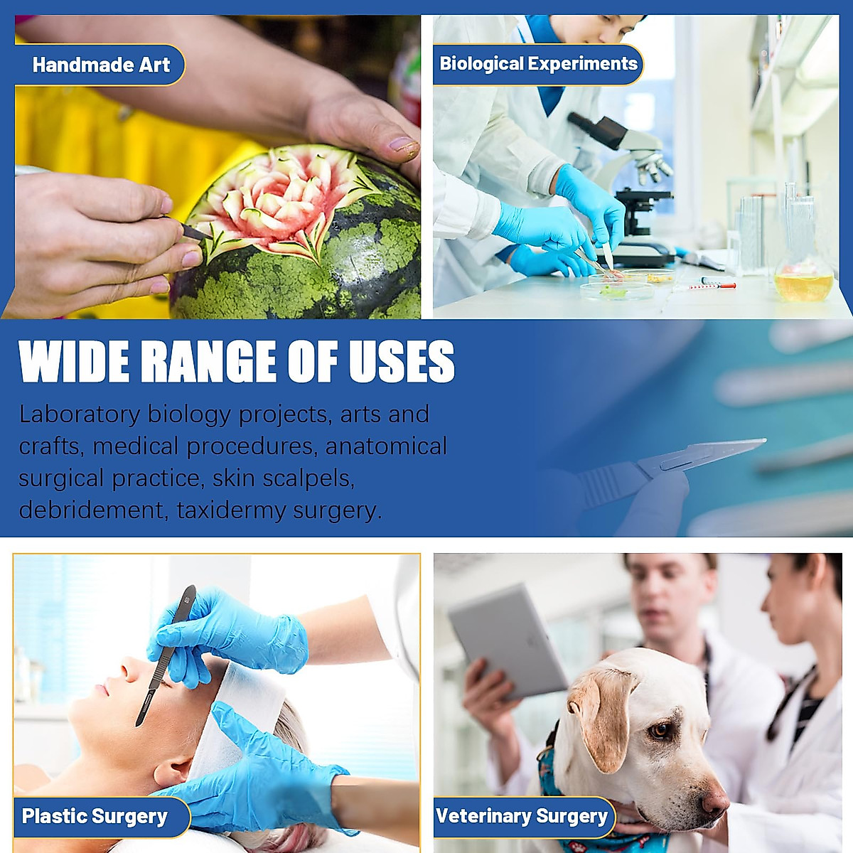 Glarks 42Pcs Surgical Grade Blade with Handle Kit, 40Pcs #10#11#12#15 Disposable Surgical Blade Sterile Scalpel Blade with 2Pcs #3 Scalpel Knife Handle for Biology Lab Anatomy, Practicing Cutting