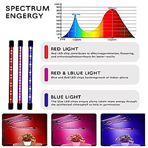 Grow Lights for Indoor Plants, GooingTop LED Grow Light for Seed Starting with Red Blue Spectrum, 4/8/12H Timer, 10 Dimmable Levels & 3 Switch Modes, Adjustable Gooseneck Suitable for Various Plant