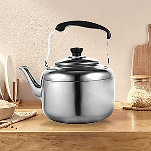 Lurrose Small Tea Kettle Boiling Teapot Fast Boiling Water Kettle Glass Camp Kettle Loose Tea Steeper Electric Water Bottle Hot Water Coffee Pot Stainless Steel Teakettle Heating Filter