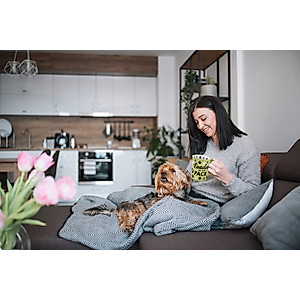 Enesco Our Name is Mud Leader of The Pack Pets Over People Coffee Mug, 16 Ounce, Multicolor