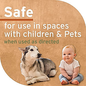 Mentha 16oz Insect and Pest Control Spray, All-Purpose Peppermint Oil Spray for Bugs, Rodents, Fleas, Ants, Roach Indoor for Home Peppermint Oil to Repel Mice and Rats White