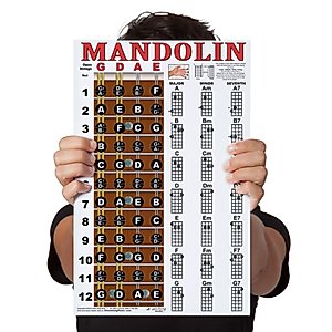Laminated Mandolin Fretboard Notes & Easy Beginner Chord Chart 11"x17" Instructional Poster by A New Song Music