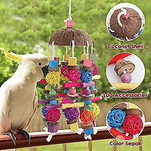 Panesor Large Bird Chewing Toys Natural Wooden Block Birds Parrot Toy with Colorful Climbing Ladder Parrots Cage Hanging Bite Tearing Toys for Parakeets Cockatiels Conures Big Medium Birds