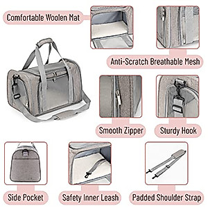 Mr. Pen- Pet Carrier, Cat Carrier, Dog Carrier, Cat Bag Carrier, Cat Travel Carrier, Soft Cat Carrier, Dog Travel Carrier, Pet Travel Carrier, Dog Soft-Sided Carriers, Cat Carrier Bag