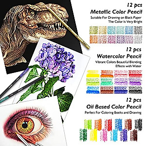 Caliart Art Supplies, Drawing Supplies, Premium Art Set Sketching Kit with 100 Sheets 3-Color Sketch Book, Graphite, Colored, Charcoal, Watercolor & Metallic Pencils for Artists Adults Teens Beginners