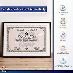 Cowhides Direct Genuine Cowhide Rug - Tricolor Cow Fur Rugs for Living Room, Bedroom & More - Authentic Cow Rug (7’x8’ Tricolor)