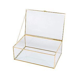SMART WYCHE 10.8" Glass Box Keepsake Box with Hinged Lid for Women and Girls, Suitable for Storage Jewelry, Trinkets, Flowers and More, Vintage Brass Frame (Large)