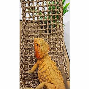 PENN-PLAX Reptology Lizard Lounger – 100% Natural Seagrass Fiber – Great for Bearded Dragons, Anoles, Geckos, and Other Reptiles – Extra Large