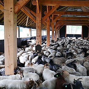 Kaulhp Goat Hay Feeder, Hay Bag for Goats Small Front Hole Bags for Nigerian Dwarf Goat, Less Hay Waste Tote Bag for Traveling,for Sheep Fair, Paddock, Stalll (Black)