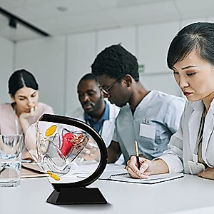 HamRoRung Transparent Uterus Model, Human Vagina Anatomical Model Female Reproductive Organ Model, Uterus Gifts Medical Teaching Models Gynecology Doctor Patient Communication Simulation