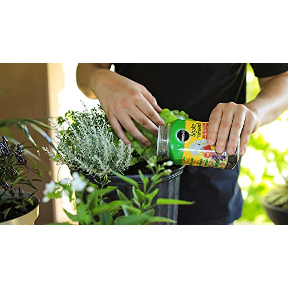 453g Shake n Feed All Purpose Plant Fertilizer