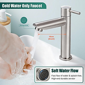 Heyalan Cold Water Only Bathroom Sink Faucet Stainless Steel SUS304 Brushed Nickel Single Handle One Hole Deck Mount Lavatory Faucet (Drain Not Included)