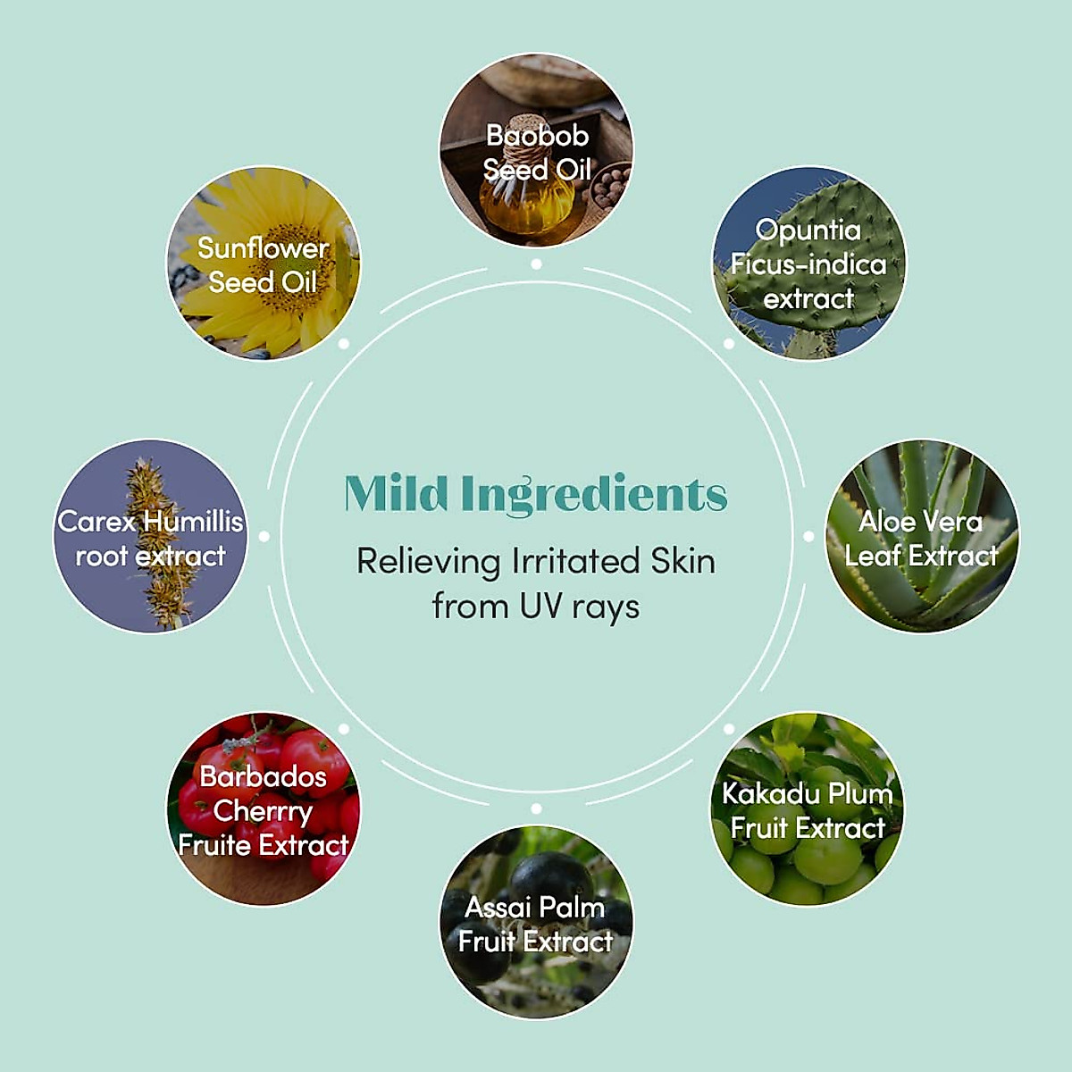 ETUDE Sunprise Mild Airy Finish Sun Milk SPF50+ / PA++++ | Sebum-free, Non-Sticky, Long Lasting Protection, 100% Mineral Based Sunscreen | Kbeauty