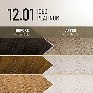 Il Salone Milano Plex Rebuilder Permanent Hair Color Cream - 12.01 Iced Platinum Professional Hair Dye Kit for a Natural Gloss & Glaze - Paraffin, Paraben, and Alcohol Free