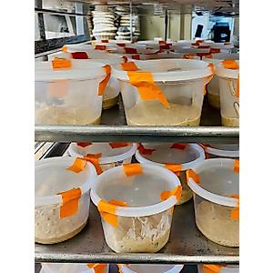 WWJD Worms 900 Year Old Organic Fresh Sourdough Starter Yeast Culture - Dutch/Wales Heritage Starter