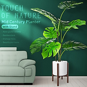 10 Inch Matte White Ceramic Flower Pot with Solid Wood Stand, Straight Cylinder Planter with Drainage Hole - Handmade Modern Minimalist Design for Indoor/Outdoor Plants, Succulents, Herbs, Home Decor