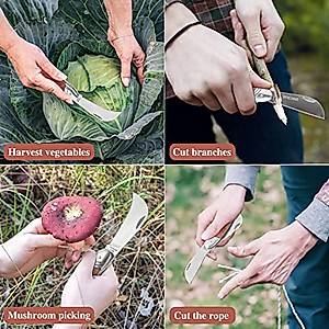 BaiCarre Pruning Knife, Double Blade Grafting Knife, Stainless Steel Garden Budding Knife, Folding Pocket Knife for Grafting Multi Cutting Tool, Weed Bushes Branches Mushroom Diggig Knife