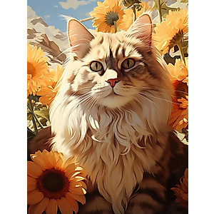 SKRYUIE 5D Diamond Art Painting Kits for Adult Full Round Drill, DIY Paint with Diamonds Art Crystal Embroidery Cross Stitch Art Craft Wall Office Decor 12x16 inch / 30x40 cm B4744