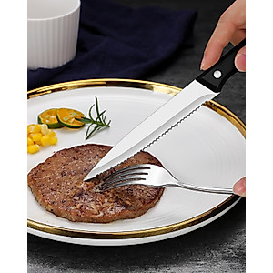 EUIRIO 48-Piece Silverware Set with Steak Knives, Heavy Duty Stainless Steel Flatware Set for 8, Food-Grade Tableware Cutlery Set, Utensil Sets for Home Restaurant, Mirror Finish, Dishwasher Safe