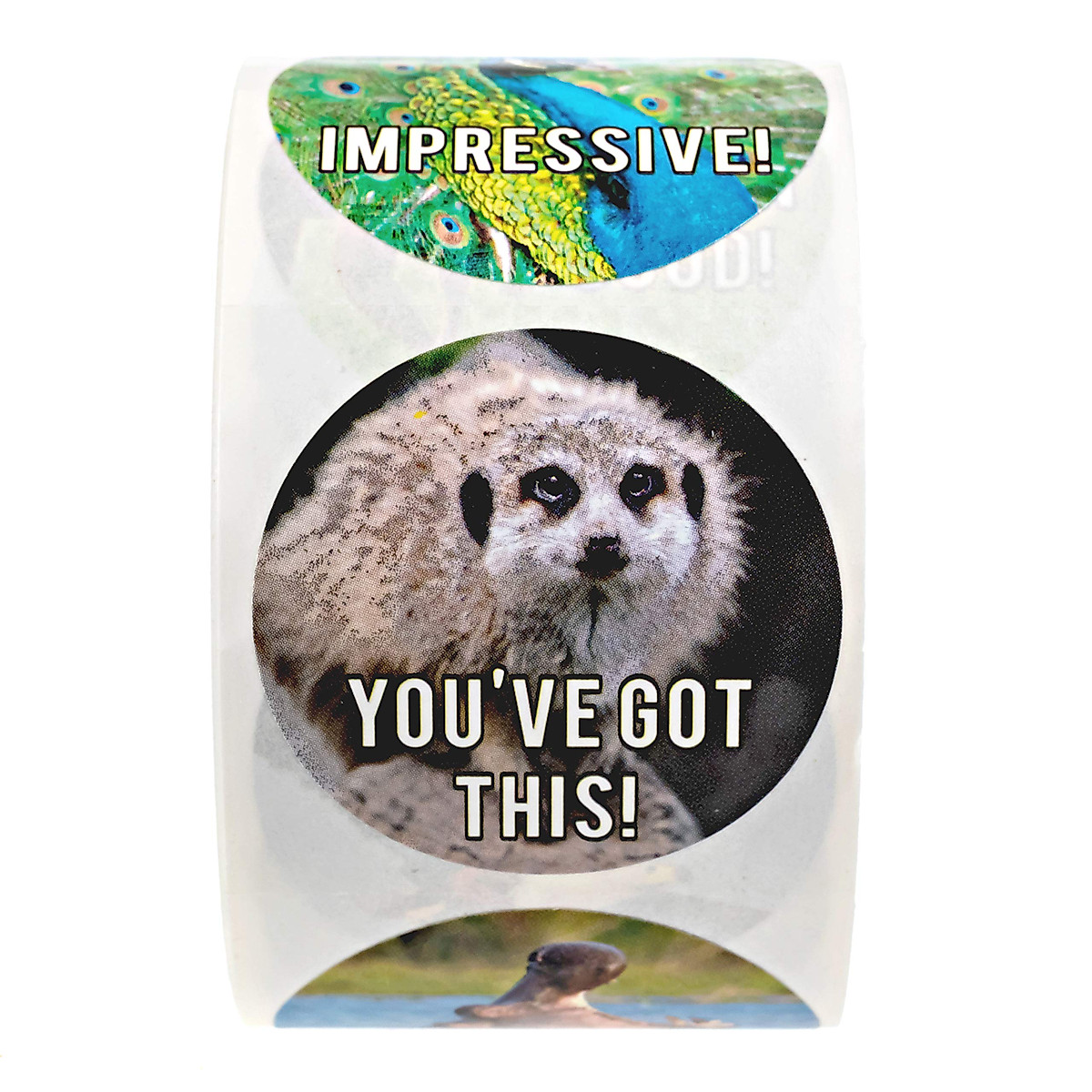 Motivational Animal Stickers / 500 Students Patients Incentive Labels Roll / 1.5" Funny Inspirational Animal School Clinic Reward Sticker / 8 Humorous Designs/Made in The USA
