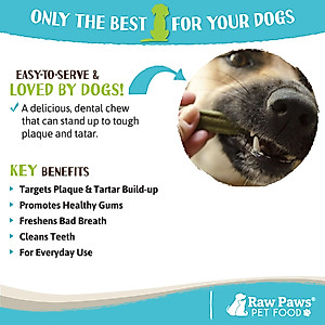 Raw Paws Dental Chews for Dogs, Medium Size, Mint Flavor, 26-oz. 29 Ct. - Made in USA - Freshen Breath & Fight Plaque & Tartar - Dog Teeth Cleaning Treat - Dog Breath Treats - Dental Sticks for Dogs