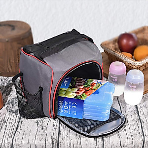 REV. LANG Cold Ice Pack Brick Reusable Long Lasting Cool Slim Thin Freezer Pack Cooler for Lunch Boxes Bag(200g,Set of 5)