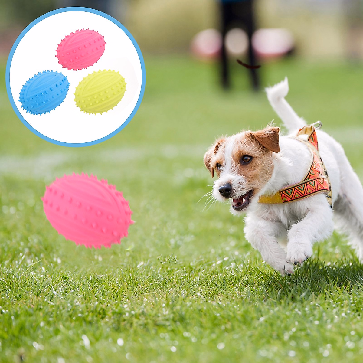 LUOZZY 3Pcs Dog Chewing Ball Puppy Squeaky Ball Interactive Teething Rugby Ball Toy Indoor Outdoor Plaything Pet Supply