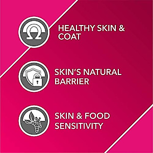 Drools Absolute Skin + Coat Tablet- Dog Supplement, 50 Piece for All Breed Sizes for Dogs Preservative-Free